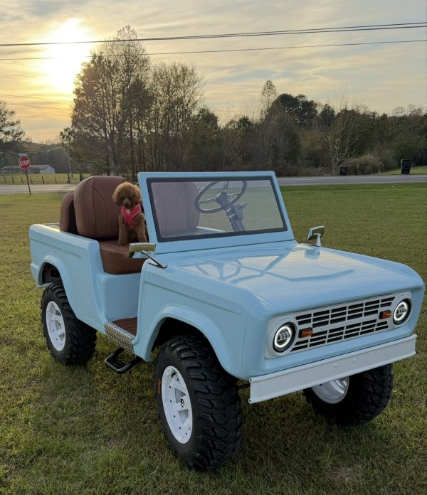 Lookout Mountain Bronco Carts - Gallery of Custom Builds