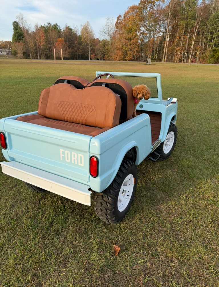 Lookout Mountain Bronco Carts - Gallery of Custom Builds