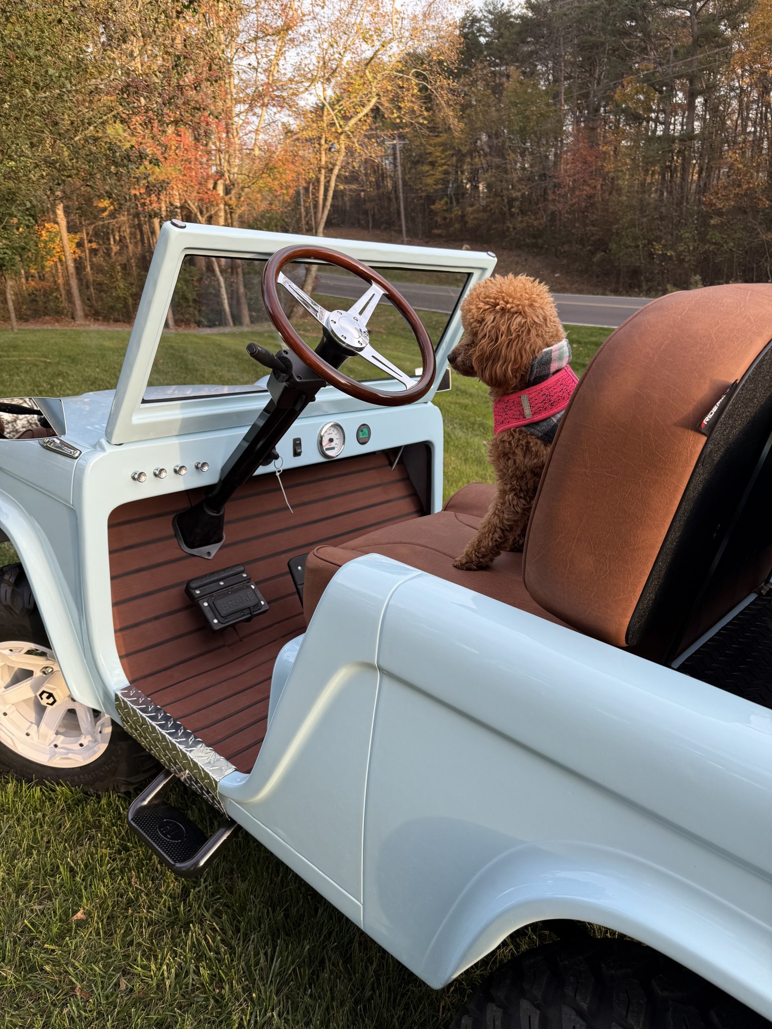 Lookout Mountain Bronco Carts - Gallery of Custom Builds