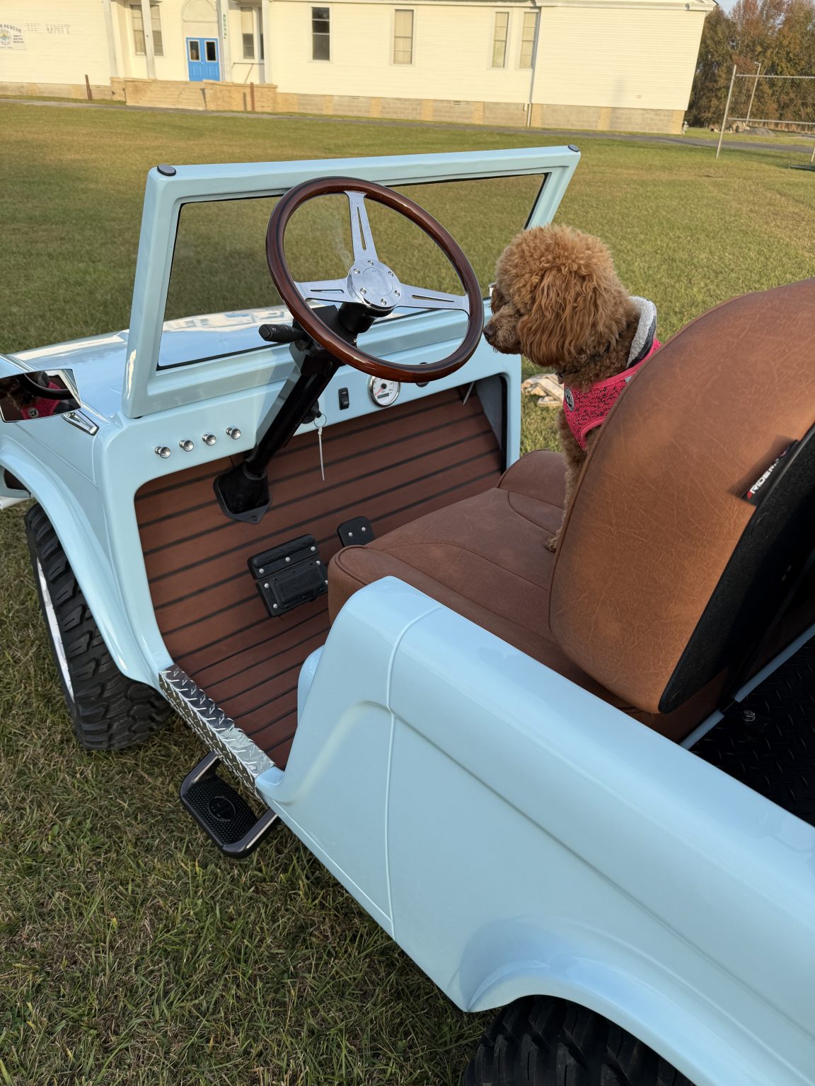 Lookout Mountain Bronco Carts - Gallery of Custom Builds